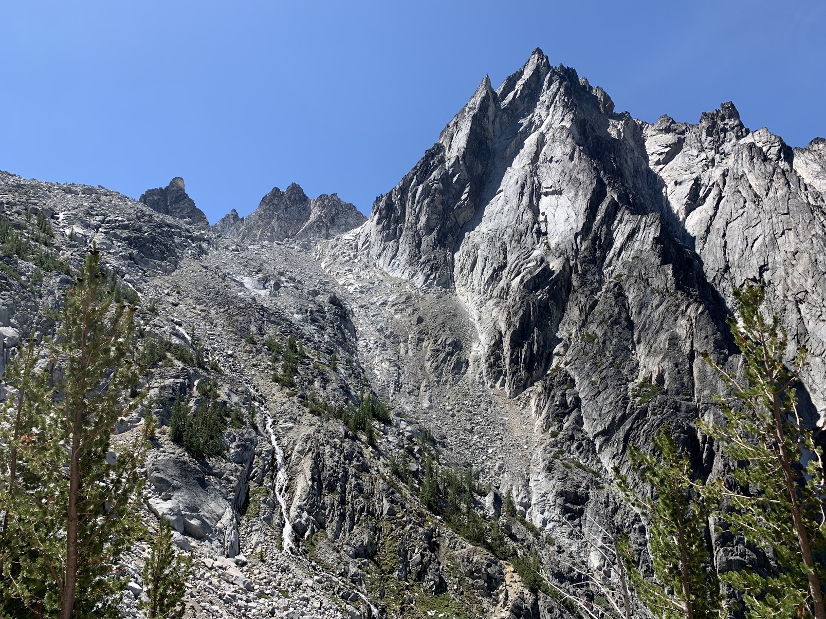 Tyler Schwenk Portfolio